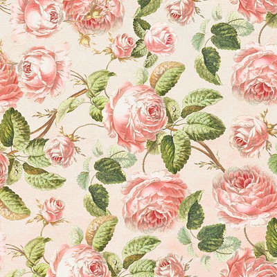 Vintage pink rose flower pattern | Premium PNG - rawpixel