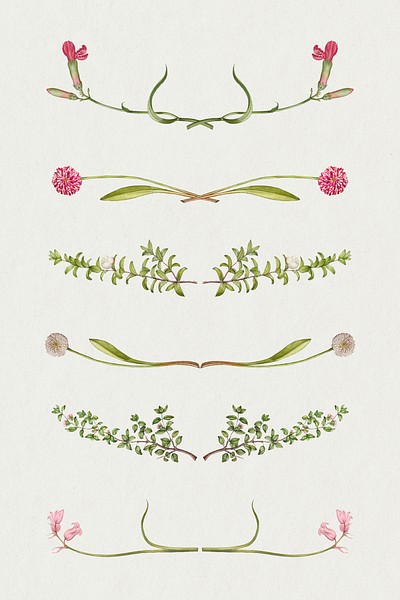 Colorful flower psd flourish divider | Premium PSD - rawpixel