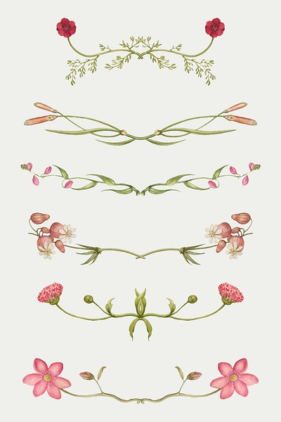 Flower floral flourish design vector | Premium Vector - rawpixel