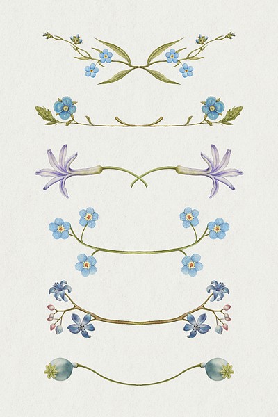 Colorful flower psd flourish divider | Premium PSD - rawpixel