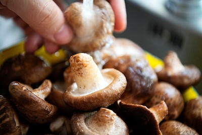 Man washing mushrooms sink | Free Photo - rawpixel