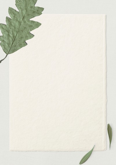Green oak leaf paper texture | Premium Photo - rawpixel