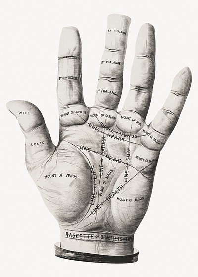 Vintage palm reading illustration | Premium Photo Illustration - rawpixel