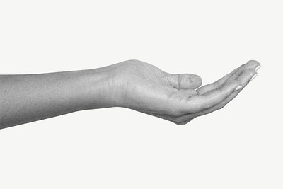 Empty palm png hand giving | Premium PNG - rawpixel