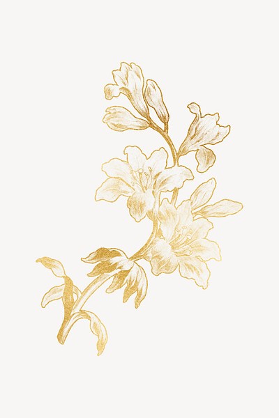 Gold flower illustration, remixed by rawpixel | Premium Photo - rawpixel