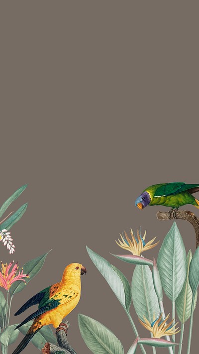 Spring design, earth tone iPhone | Free Photo - rawpixel