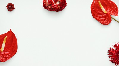 Anthurium flower border HD wallpaper | Premium Photo - rawpixel