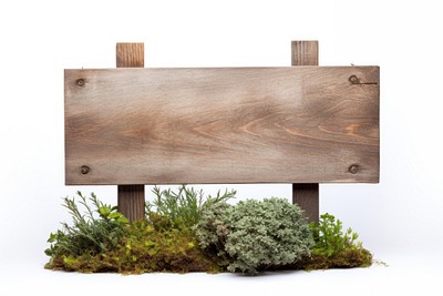 PNG Wood plant tree sign. | Premium PNG - rawpixel