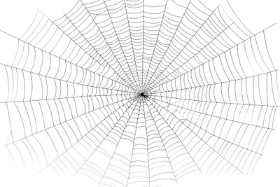 Spider web backgrounds concentric complexity. | Premium Photo - rawpixel