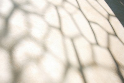 Natural shadow overlay effect | Free Photo - rawpixel