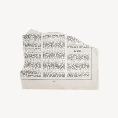 Ripped paper png collage element, | Premium PNG - rawpixel