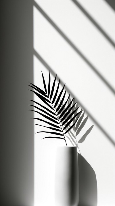 Nature shadow window plant white. | Premium Photo - rawpixel