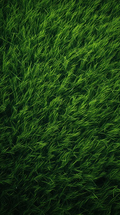Greengrass field nature outdoors plant | Premium Photo - rawpixel