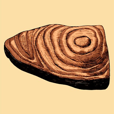 Hand drawn fish fillet | Premium Vector Illustration - rawpixel