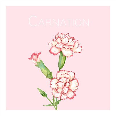 Hand drawn carnation flower illustration | Premium Vector Illustration ...