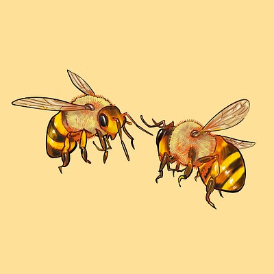 Illustration of two bees | Premium PSD Illustration - rawpixel