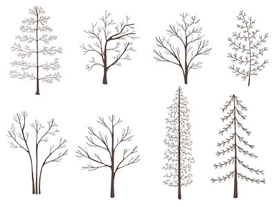 Illustration of pine trees collection | Premium Vector - rawpixel