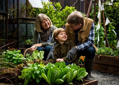 Family picking vegetable backyard garden | Premium Photo - rawpixel