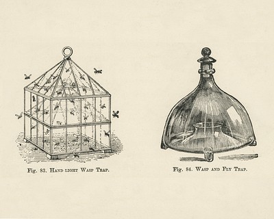Vintage illustration wasp trap digitally | Free Photo Illustration ...