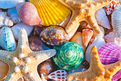 Beach still life shot; sea | Premium Photo - rawpixel