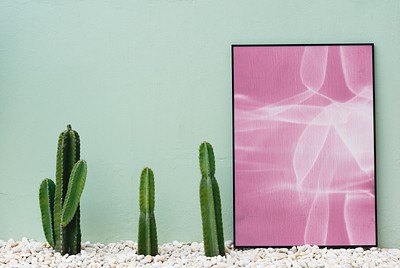Cactus and photo frame | Premium Photo - rawpixel