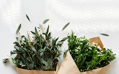 Flat lay of flower bouquet | Free Photo - rawpixel