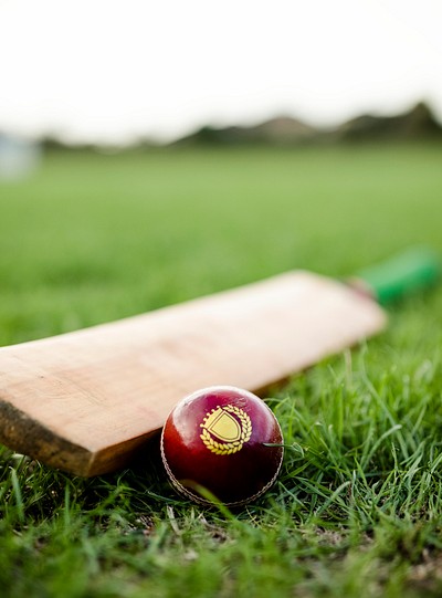 Cricket bat ball green grass | Premium Photo - rawpixel