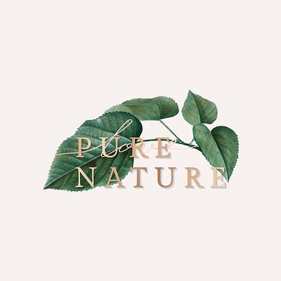 Botanical pure nature logo vector | Premium Vector - rawpixel