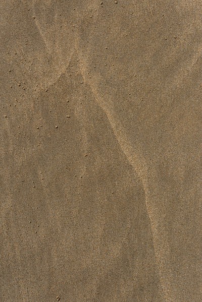 Natural sand beach background | Free Photo - rawpixel
