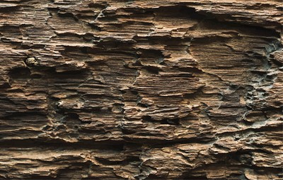Rough timber textured background design | Premium Vector - rawpixel