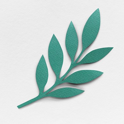 Eucalyptus paper craft leaf isolated | Premium PSD - rawpixel