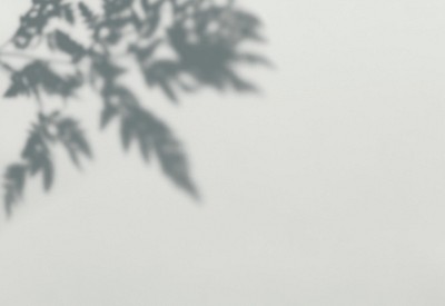 Shadow of leaves on a wall | Premium PSD - rawpixel