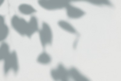 Shadow of leaves on a wall | Premium PSD - rawpixel