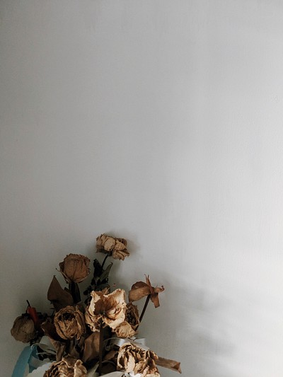 Dried roses by the wall | Free Photo - rawpixel