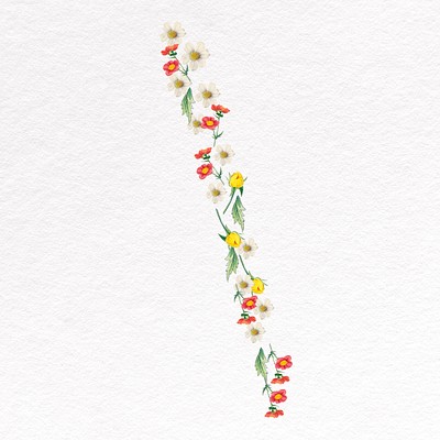 Flower divider clipart, botanical psd | Premium PSD - rawpixel