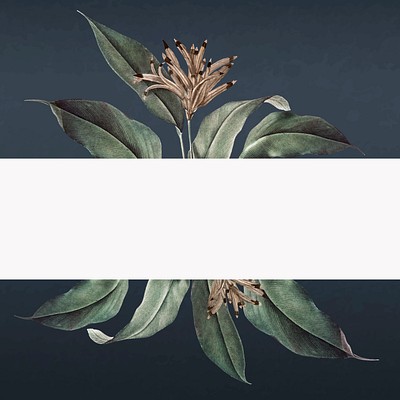 Floral banner blue wall vector | Premium Vector - rawpixel