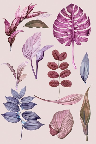 Purple leaves collection design vector | Premium Vector - rawpixel