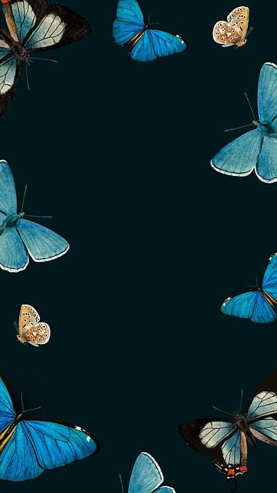 Blue butterflies patterned on black | Premium Vector - rawpixel