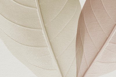 Closeup of beige leaves texture | Premium Photo - rawpixel