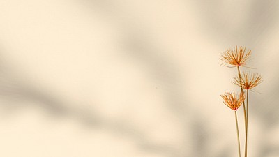 Dried Papyrus branches by a wall | Premium PSD - rawpixel