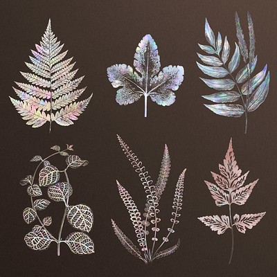Holographic fern set design resources | Premium PSD - rawpixel