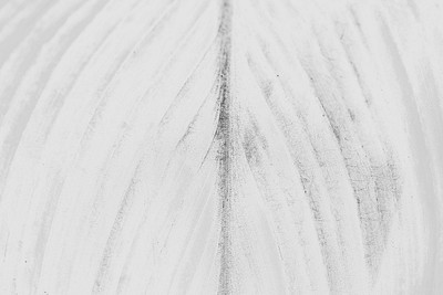 Gray leaf pattern textured backdrop | Premium Photo - rawpixel