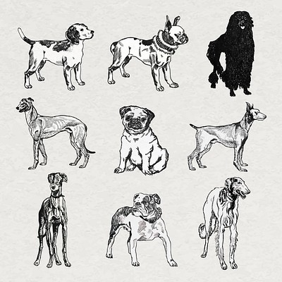 Vintage dog stickers vector in black | Premium Vector - rawpixel