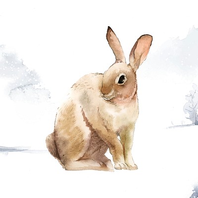 Wild brown rabbit in a winter | Free Vector Illustration - rawpixel
