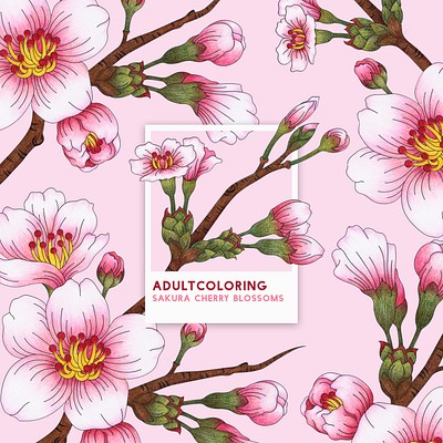 Sakura cherry blossoms adult coloring | Free Photo - rawpixel