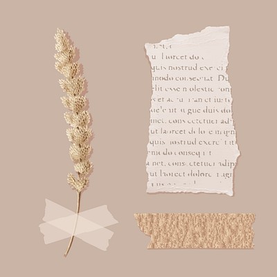 Bullet journal ornaments pack transparent | Premium PNG - rawpixel