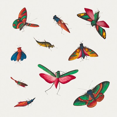 Chinese butterfly and insect painting | Free Photo Illustration - rawpixel