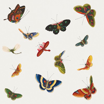 Chinese butterfly and insect painting | Free Photo Illustration - rawpixel