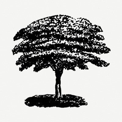 Tree sticker, black ink drawing | Premium PSD Illustration - rawpixel