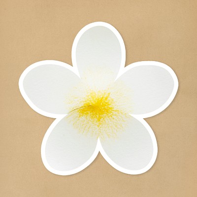 Jasmine sticker paper craft png | Premium PNG Sticker - rawpixel